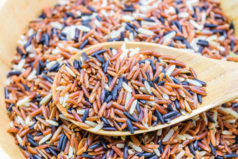 Mixed rice stock photo. Image of food, rices, grain, white - 95419674