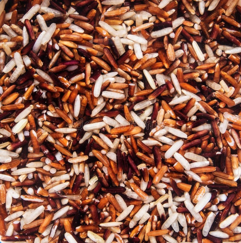 Mixed Rices (Red Rice, Brown Rice and Jasmine Rice) Texture Background ...