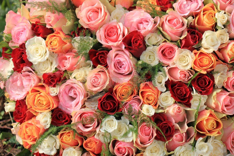Mixed rose bouquet stock image. Image of petal, bouquet - 12317585