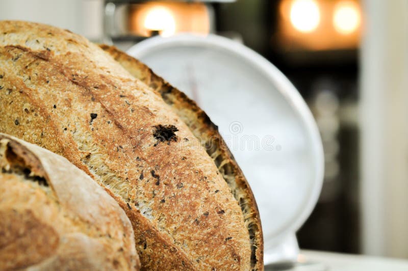 Mixed Rye-wheat Whole Grain Homemade Stock Photo - Image of gourmet ...