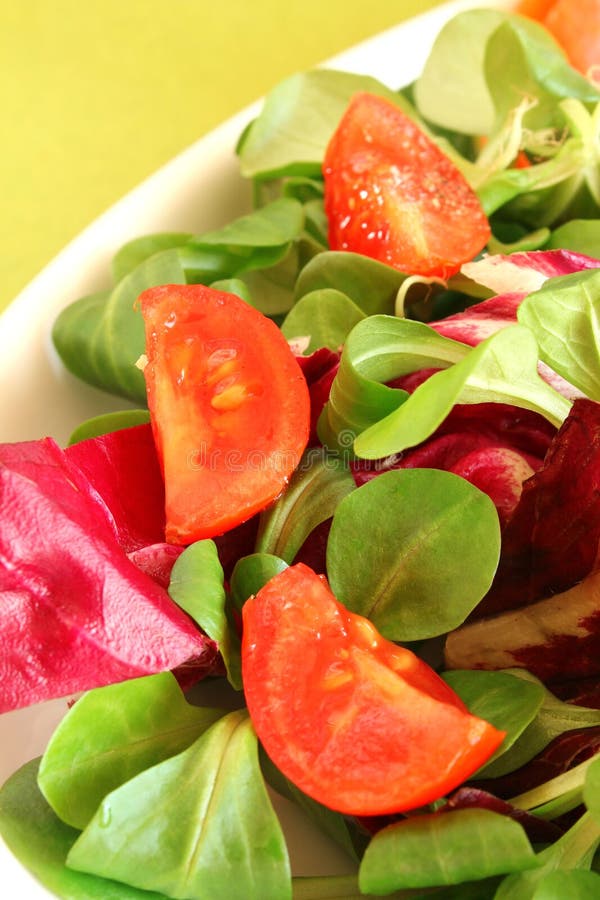 Mixed salad stock photo. Image of cook, food, calory - 22433038