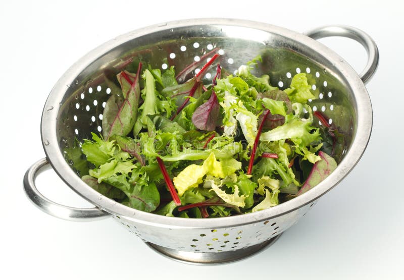 Mixed Salad leaves stock image. Image of lettuce, healthy - 18738137
