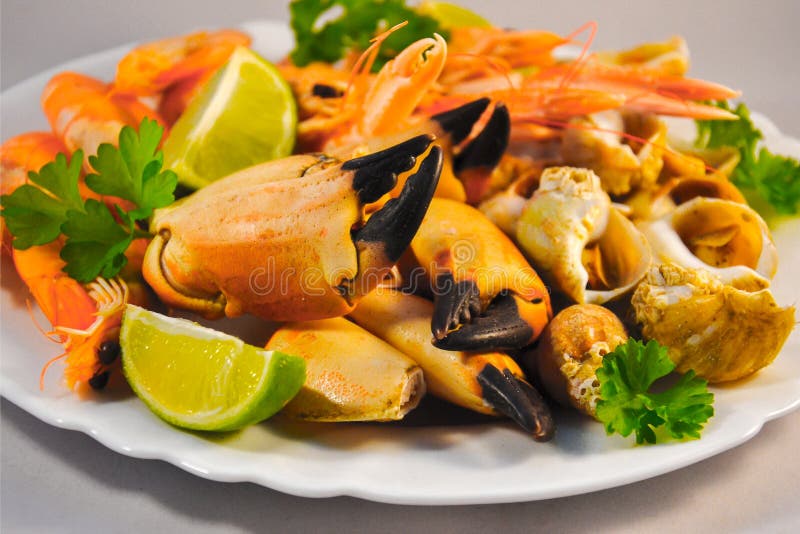 Mixed seafood stock image. Image of background, food - 48520875
