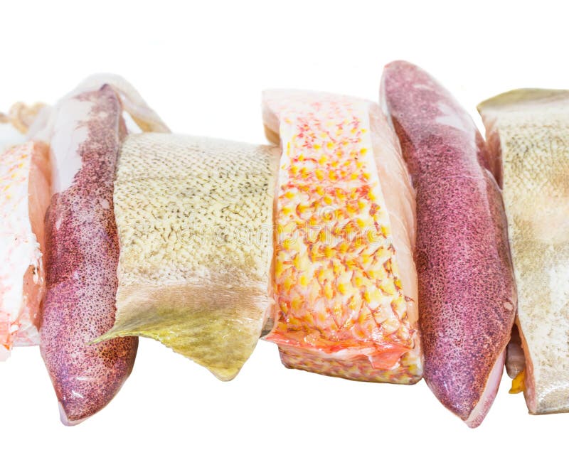 Mixed Seafood II stock photo. Image of isolated, catch - 34908074