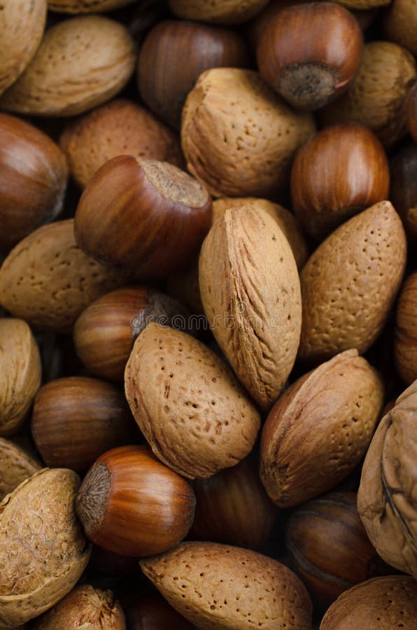 Mixed Selection of Nuts in Shells from Above Stock Photo - Image of ...