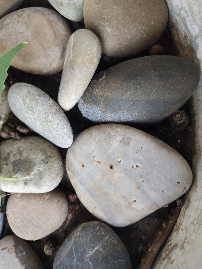 Mixed Shape Pebbles and a Green Leaf Stock Image - Image of iron, trunk ...