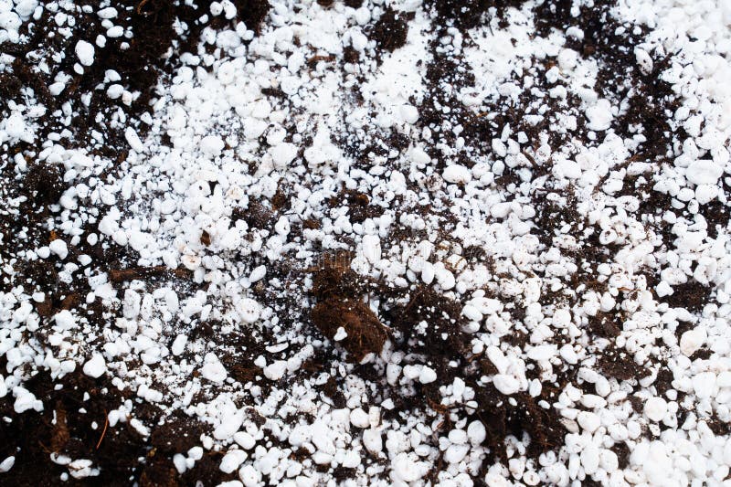 Mixed Soil and Perlite for Plants. Neutral Material of Volcanic Origin ...
