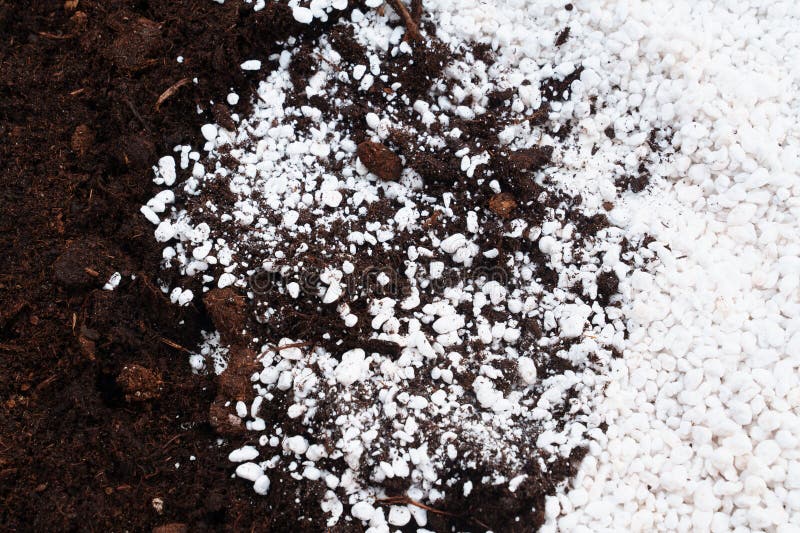 Mixed Soil and Perlite for Plants. Neutral Material of Volcanic Origin ...