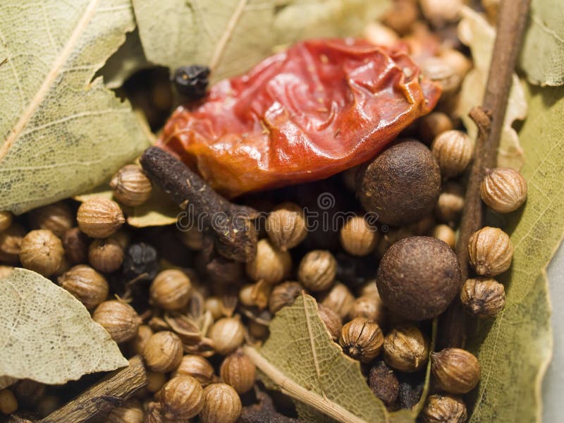 Mixed spice stock image. Image of spice, flavor, nature - 7078451