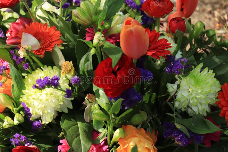 Mixed spring bouquet stock photo. Image of petal, purple - 30475164
