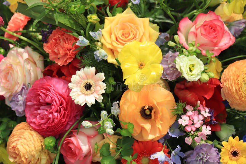 Mixed spring bouquet stock image. Image of flower, botanical - 181573403