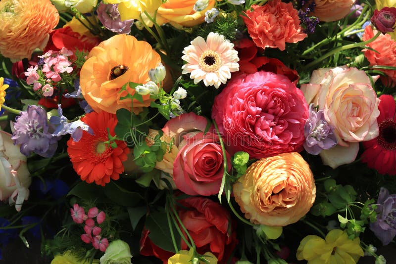 Mixed spring bouquet stock photo. Image of petal, purple - 30475164