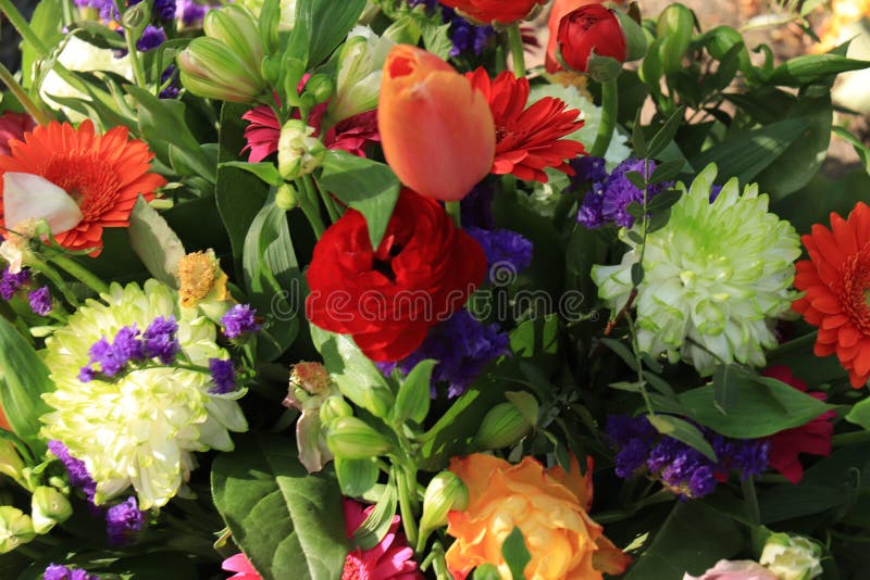 Mixed spring bouquet stock photo. Image of berry, petals - 199512752