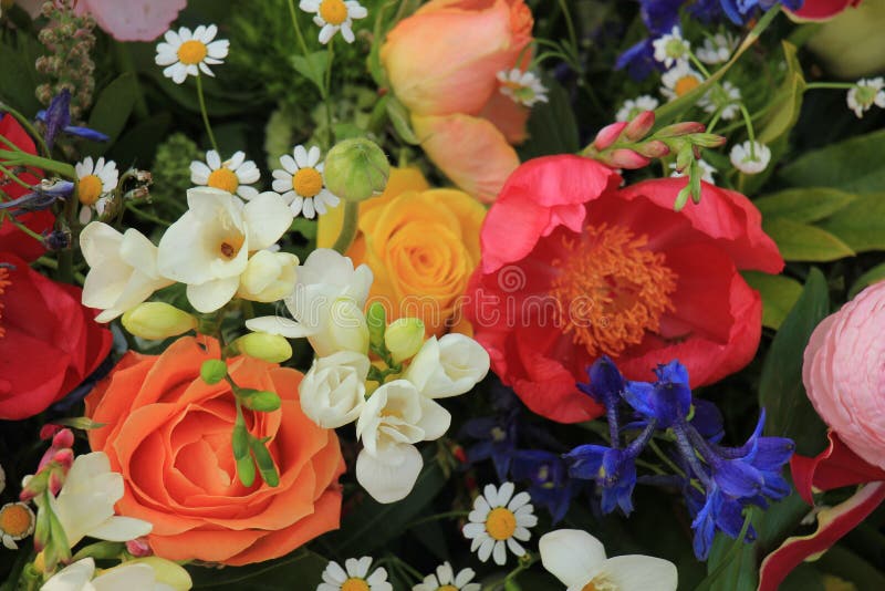 Mixed spring bouquet stock photo. Image of petal, purple - 30475164