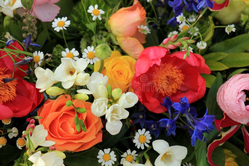 Mixed spring bouquet stock photo. Image of petal, purple - 30475164