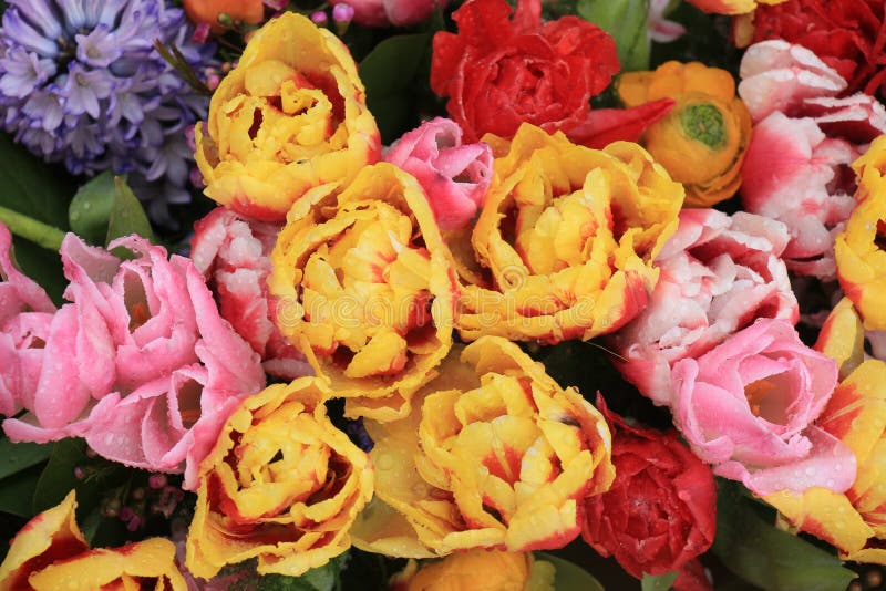 Mixed Spring Flower Bouquet Stock Photo - Image of yellow, mixed: 88951022