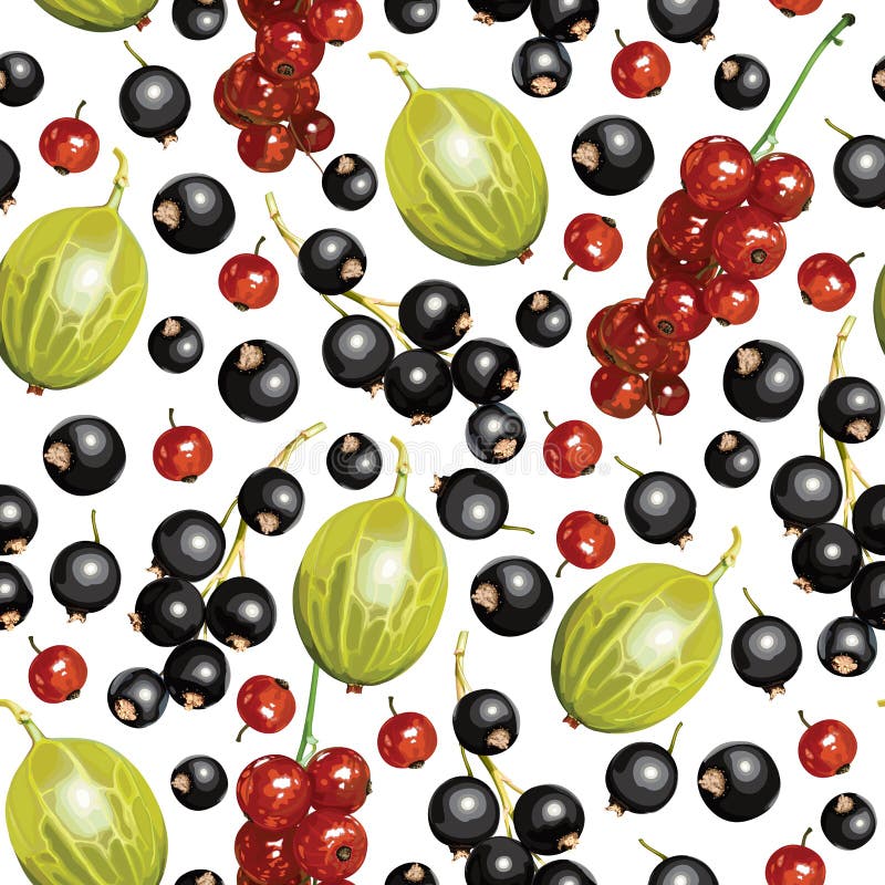 Mixed Berries Vector Illustrations Stock Vector - Illustration of pair ...