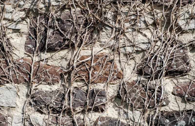 Mixed Texture of Stone and Bricks on the Wall of an Ancient Mill Stock ...