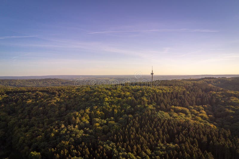The Woods Of Eifel National Park In North Rhine-Westphali Germany Stock ...