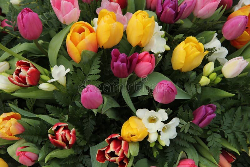 Mixed tulip bouquet stock image. Image of botanical - 206336523