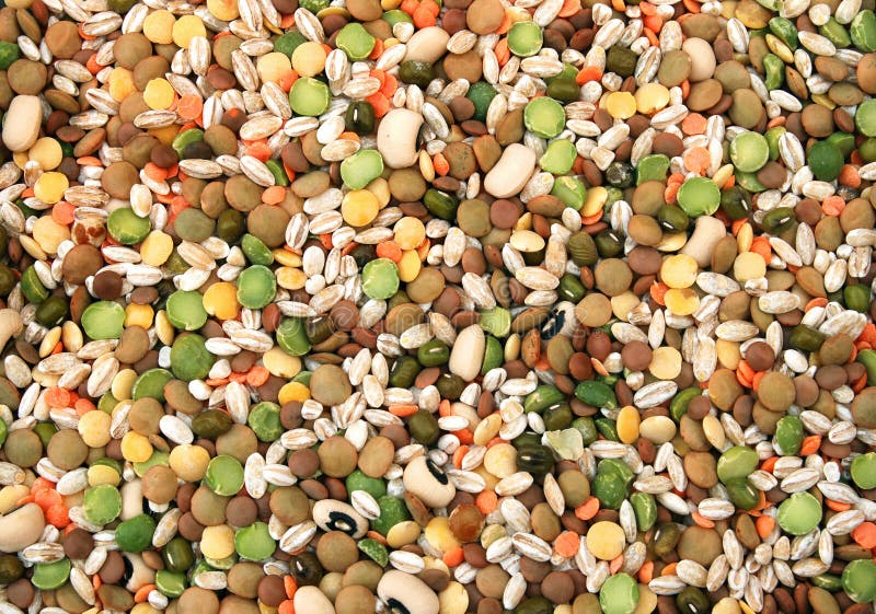 Mixed vegetable 02 stock photo. Image of healthy, seeds - 3646900