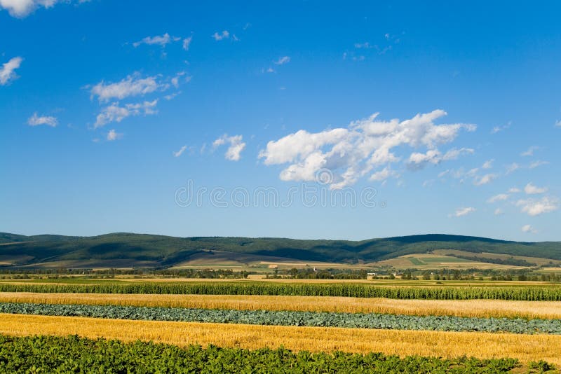 29,568 Mixed Field Stock Photos - Free & Royalty-Free Stock Photos from ...