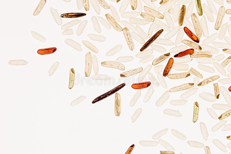 Mixed White, Red and Black Rice on White Background. Stock Image ...