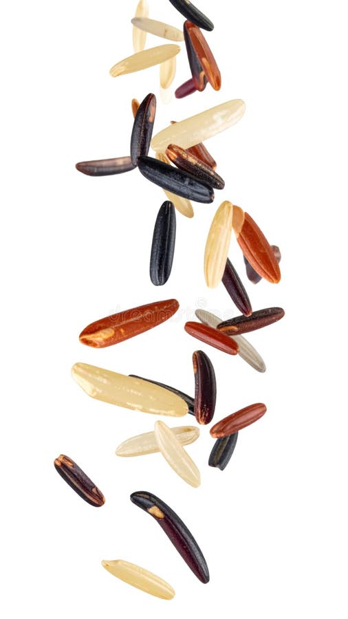 Mixed Wild Rice Falling Against Transparent Background Stock Photo ...