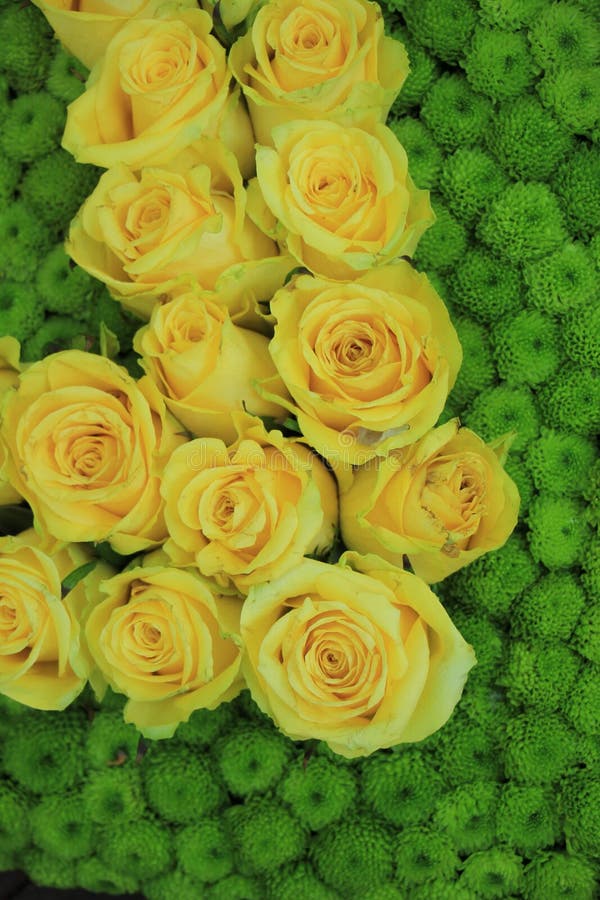 Mixed yellow bridal roses stock image. Image of decoration - 98889623