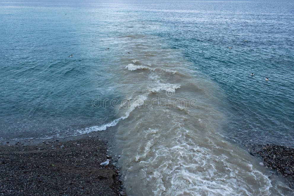 Mixing of Dirt Water into the River Stock Photo - Image of sewage ...
