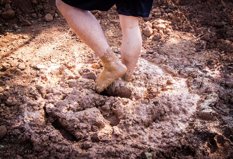 Mixing Earthen Brick Ingredients Stock Photo - Image of model, hand ...