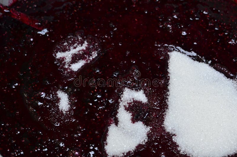 Mixing Ground Black Currants with Sugar for Preservation. Stock Photo ...