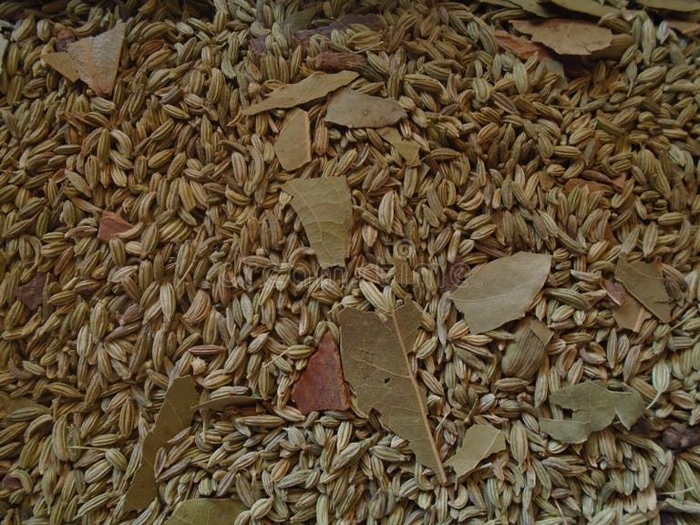 Mixture of species stock image. Image of seeds, cumin - 132235965