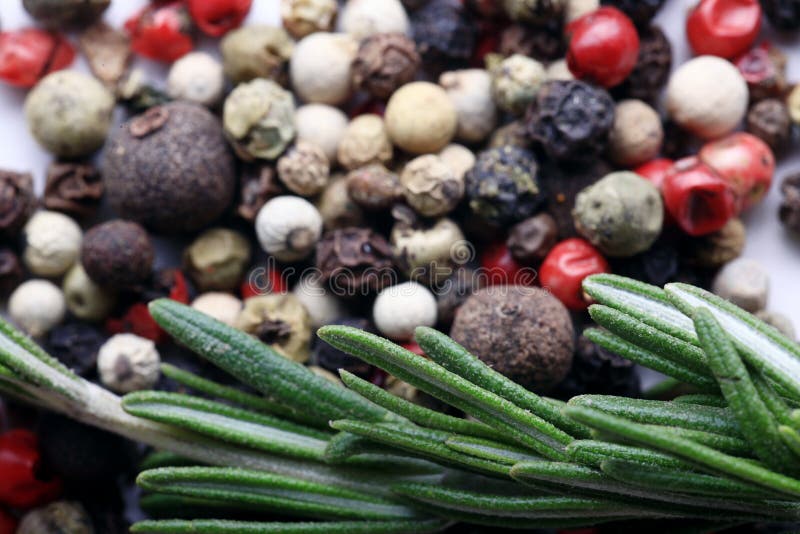 Mixture of bell peppers stock photo. Image of celery - 47173588