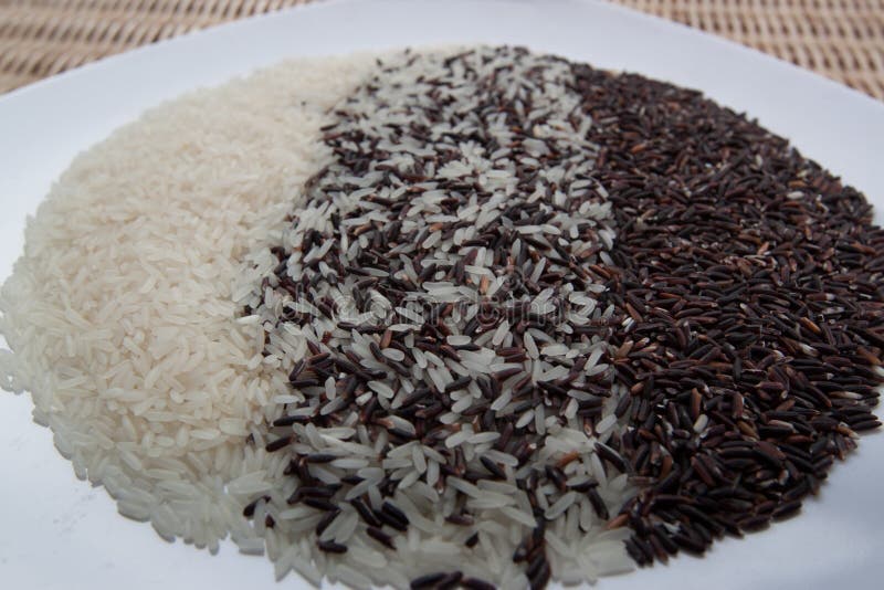 Mixture of Dark Brown and White Rice on Two White Plates Stock Image ...