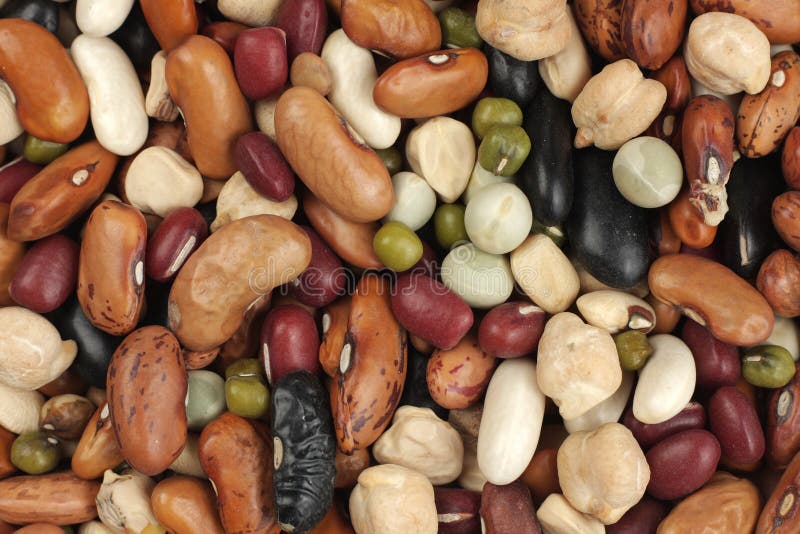 Mixture of Different Kind of Beans Stock Image - Image of backdrop ...