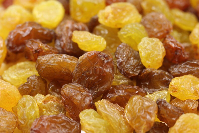 Two varieties of raisins stock image. Image of berries - 42364065