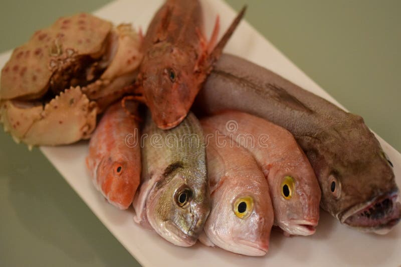 Fish mixture for a stew stock image. Image of bake, dish - 107533121