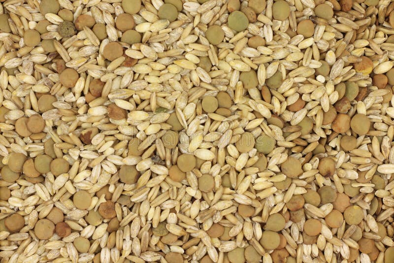 Mixture of Grains Background Stock Photo - Image of product, seeds ...