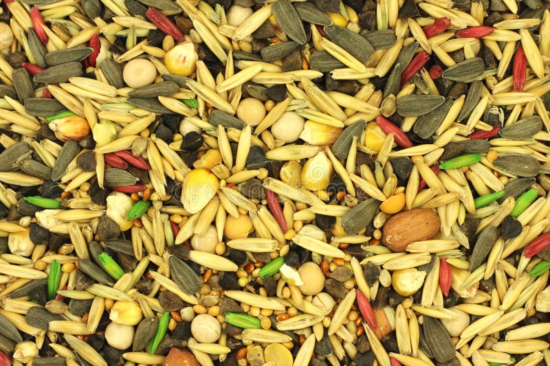 Mixture of Grains and Cereals Background Stock Photo - Image of ...