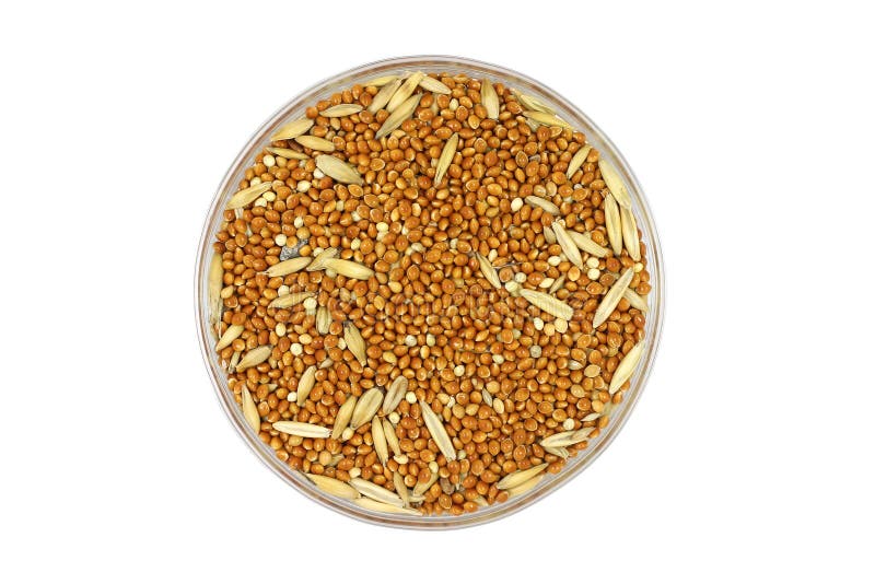 Mixture of Grain Background Stock Image - Image of mixture, soup: 69345091