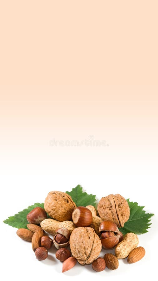 Mixture of Hazelnuts Peanuts Walnuts or Hazelnut Leaves on a White ...