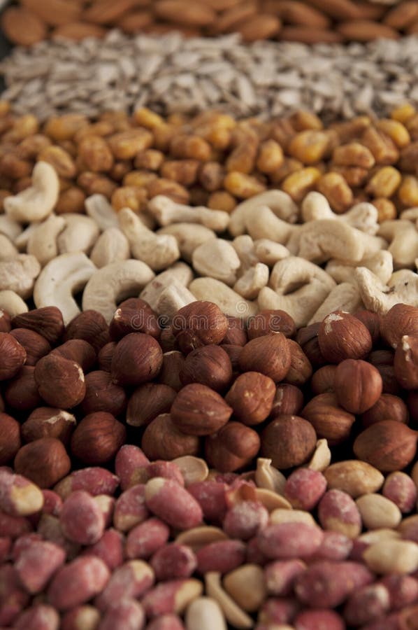 Mixture of nuts stock photo. Image of kernel, group, natural - 23239872