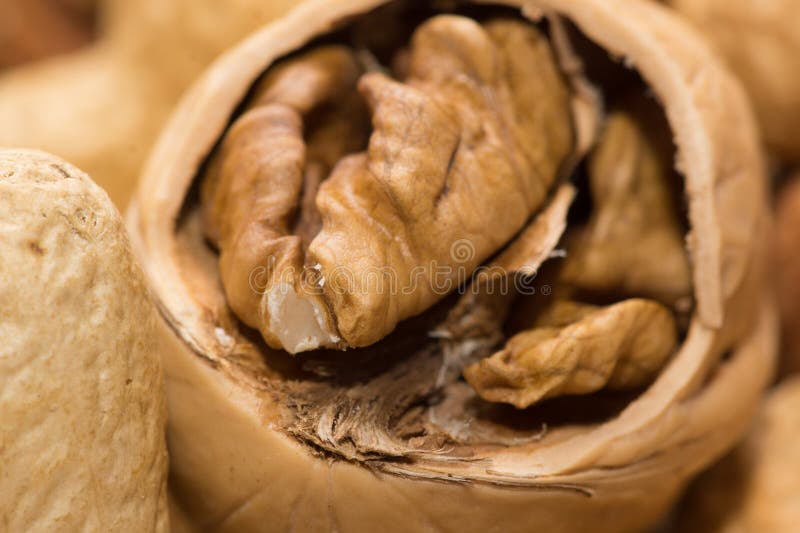 Mixture of Nuts of Different Varieties and Sizes Stock Photo - Image of ...