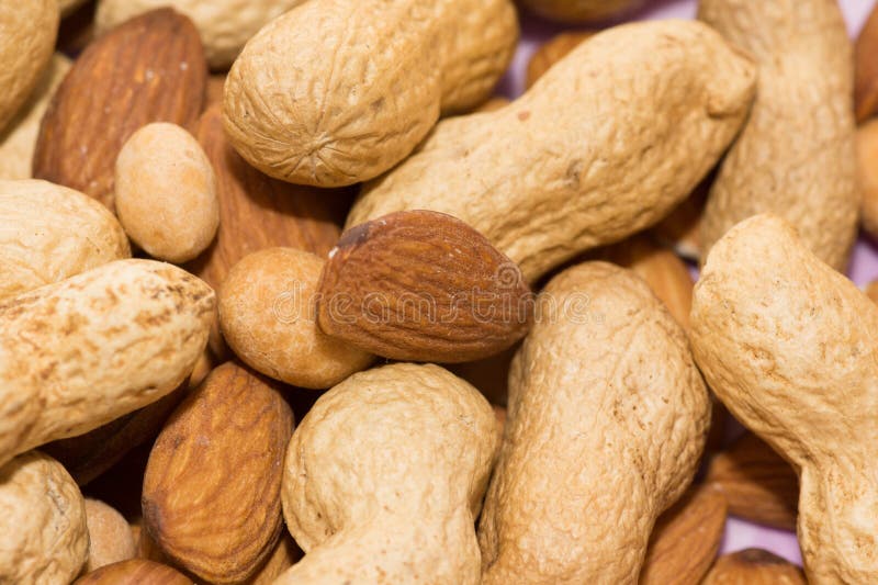 Mixture of Nuts of Different Varieties and Sizes Stock Photo - Image of ...