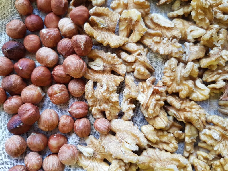 Mixture of Nuts for Food for Breakfast Stock Image - Image of leaf ...