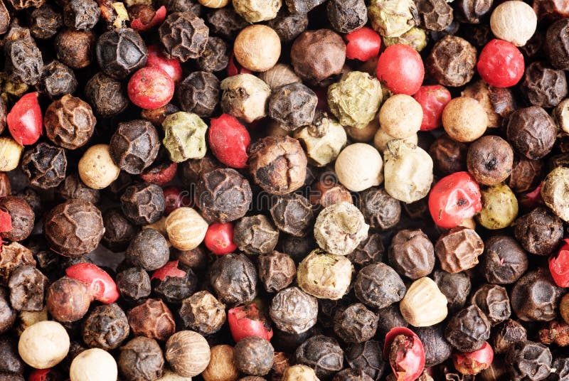 Spice pimento stock image. Image of grain, taste, spices - 10238635