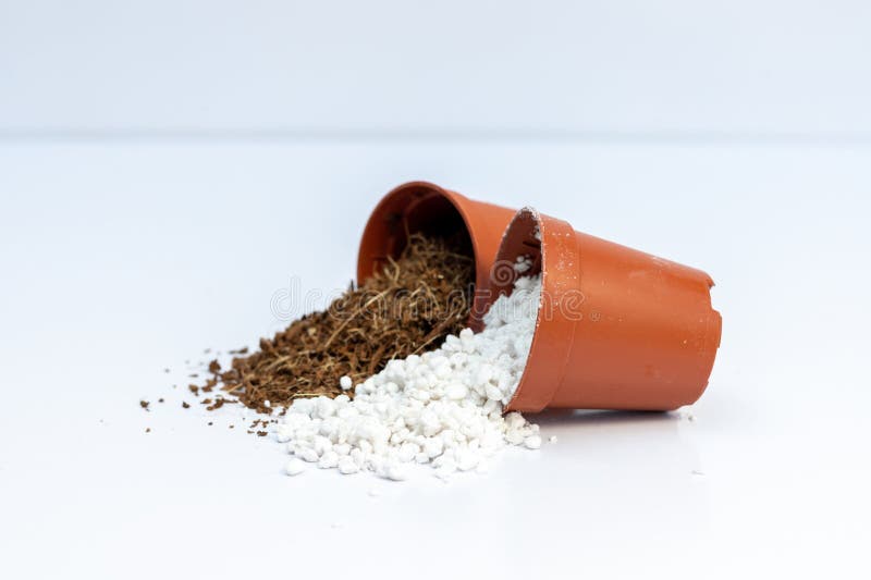 A Mixture of Perlite and Cocpeat in Small Plastic Pots. Soil Mix ...