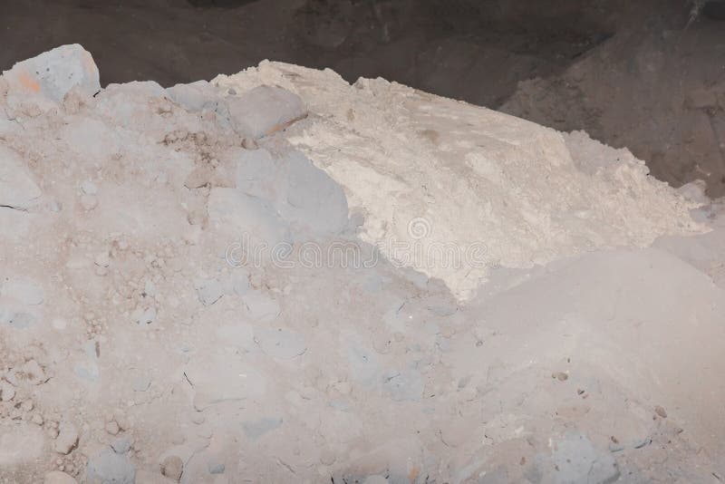 Bentonite Plant Stock Photos - Free & Royalty-Free Stock Photos from ...