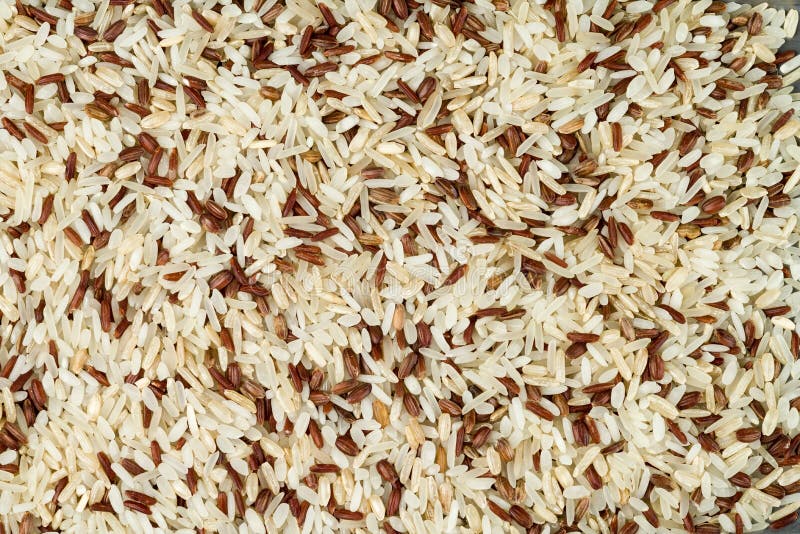 Types of Mixture Murukku Bite Stock Image - Image of agriculture ...